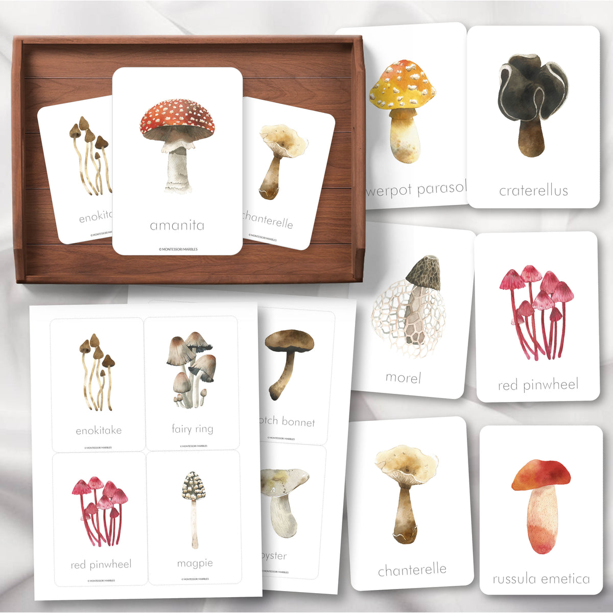 Mushroom Flash Cards | Montessori Printable Flash Cards – Montessori ...
