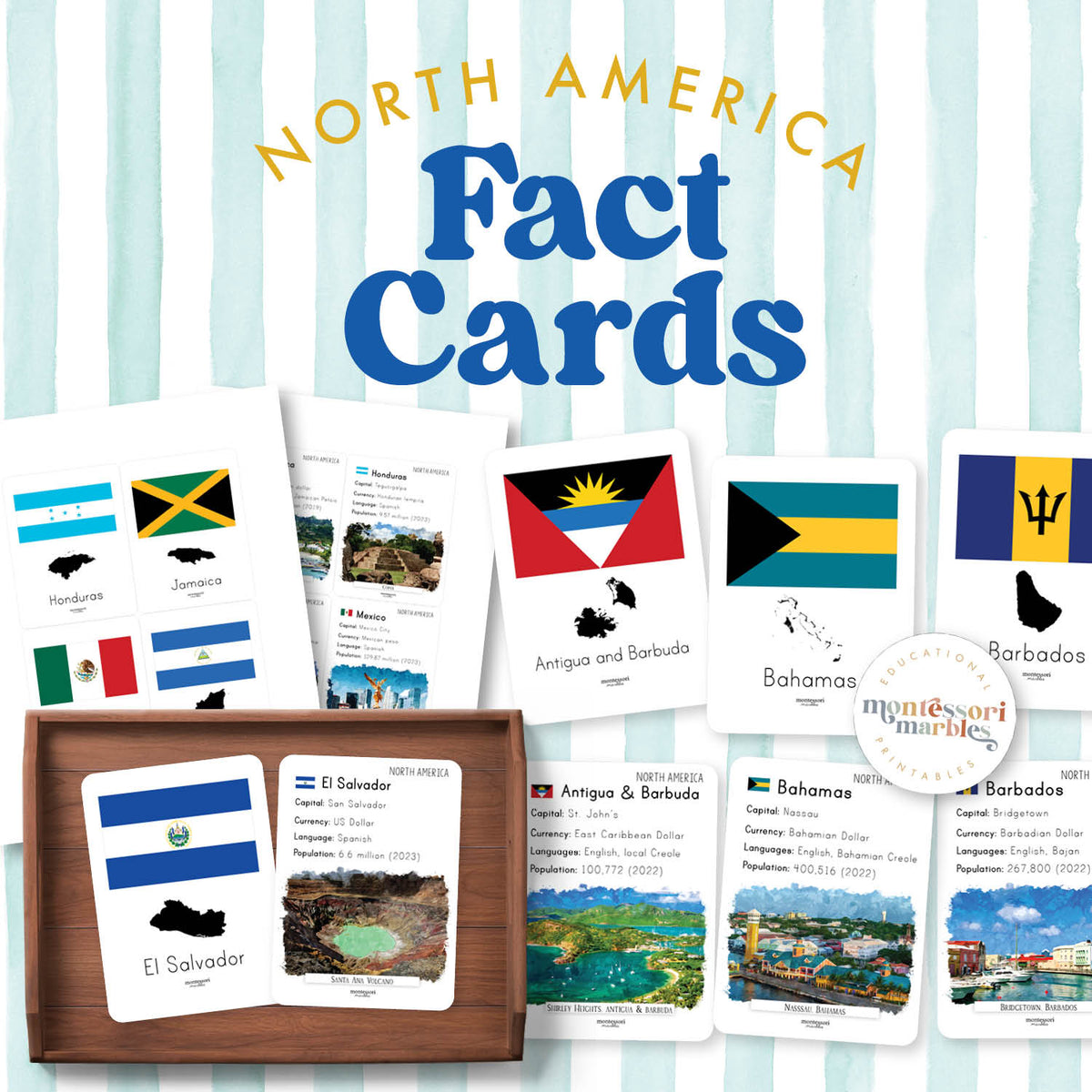 South America Fact Cards | Montessori Inspired Printable for Geography ...