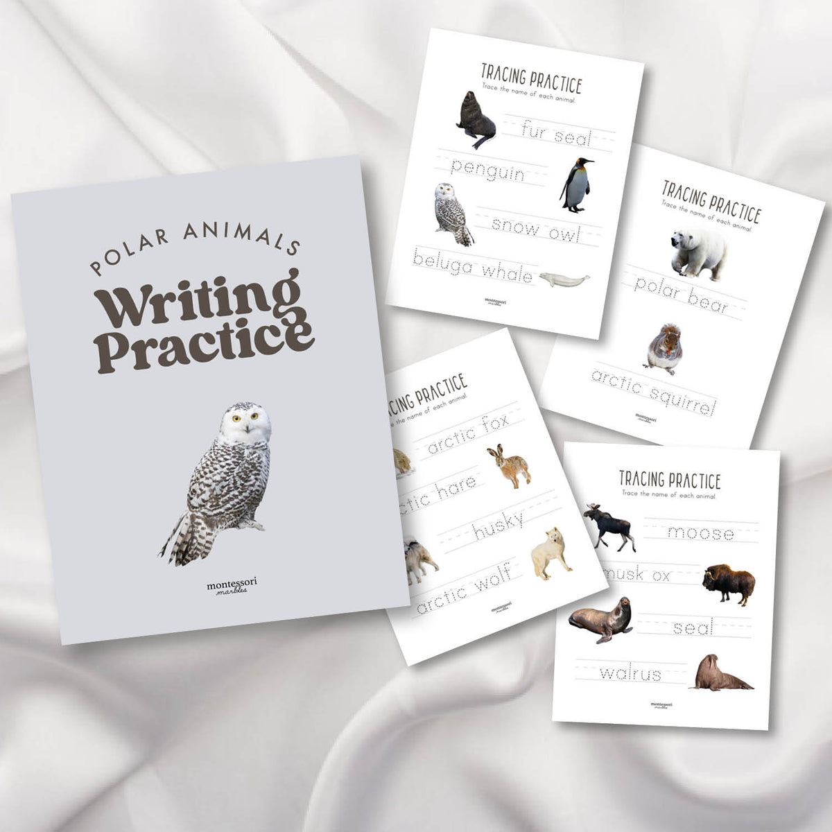 Polar Animals Tracing Practice – Montessori Marbles