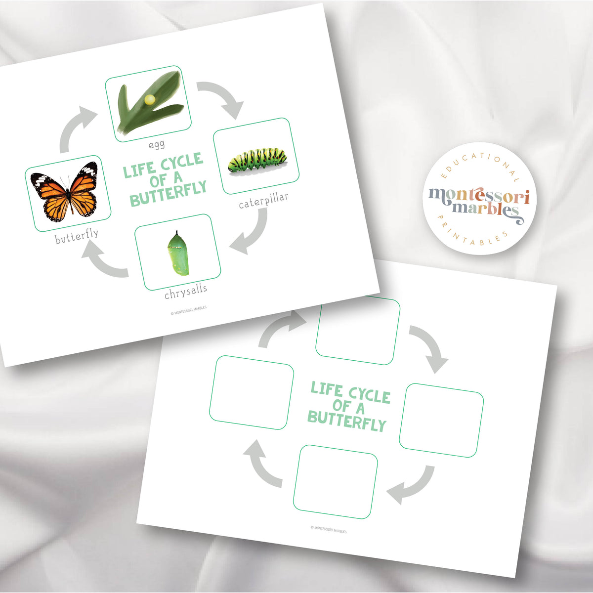 Butterfly Life Cycle | Montessori Inspired Printable Activities ...