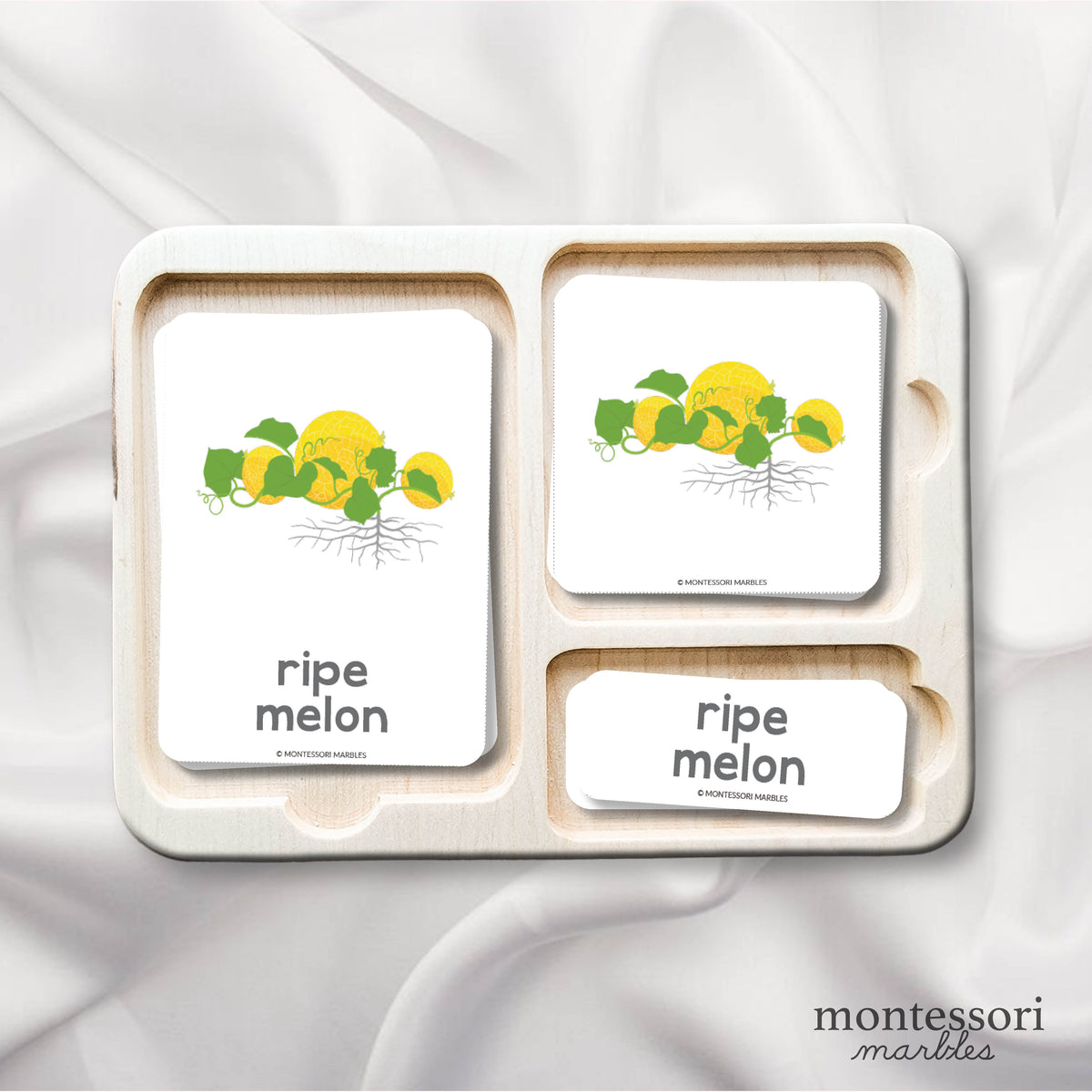 Melon Life Cycle – Montessori Marbles