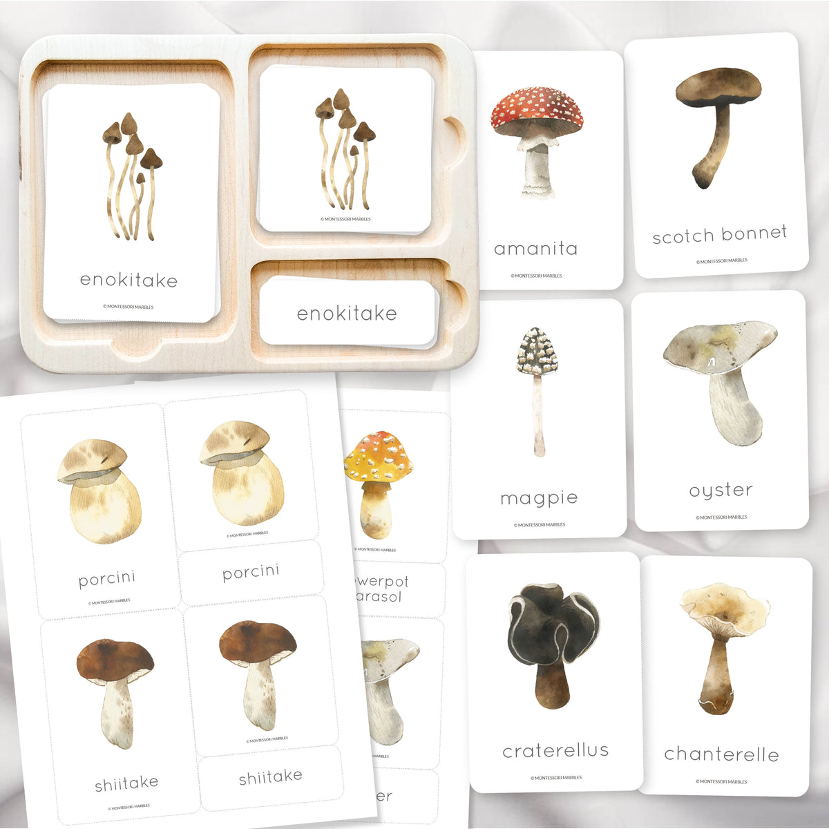 Mushroom Nomenclature Cards – Montessori Marbles