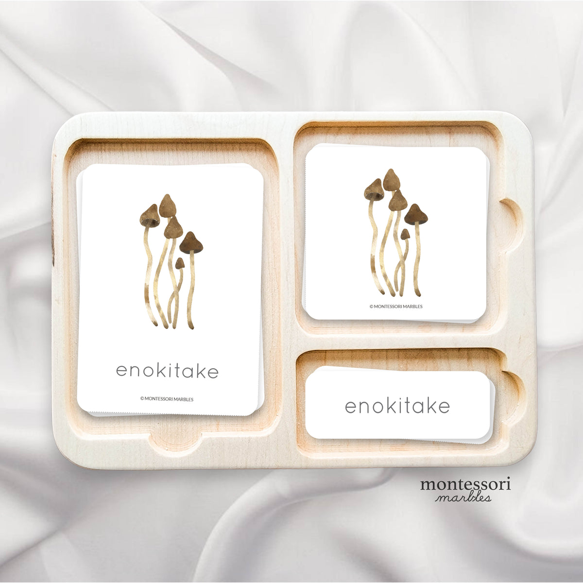 Mushroom Nomenclature Cards – Montessori Marbles