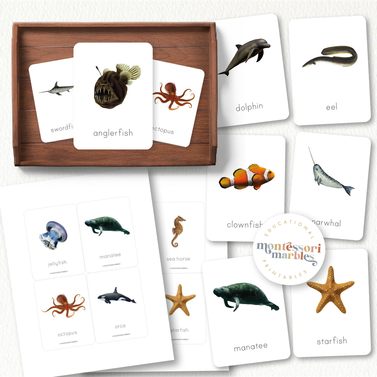 Ocean Animals Flash Cards – Montessori Marbles