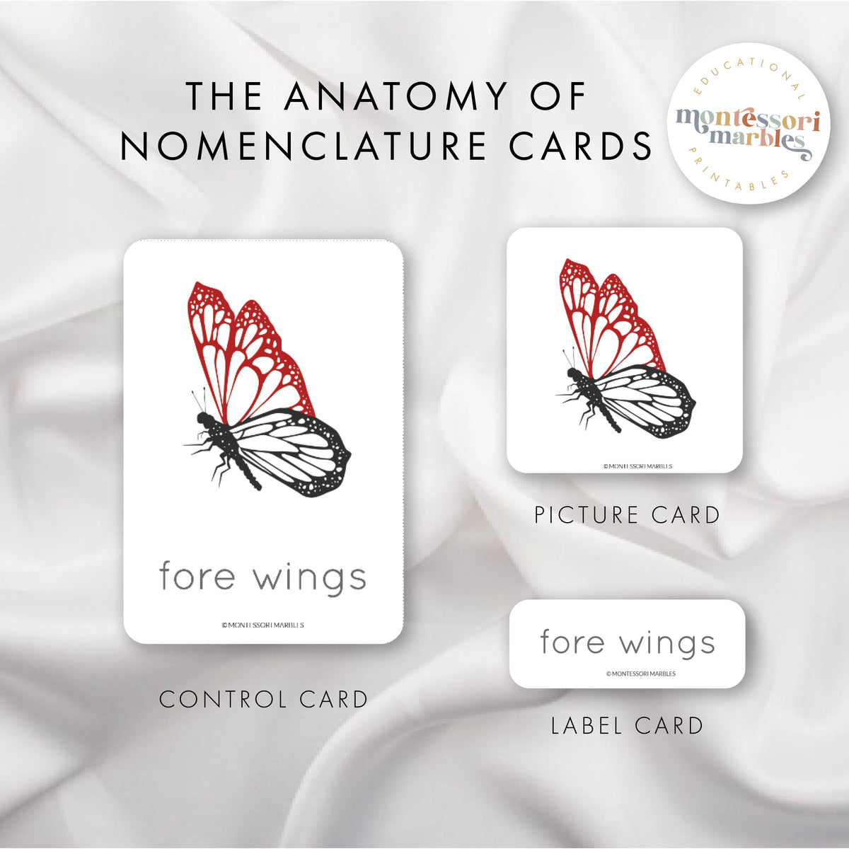 Parts of a Butterfly Nomenclature Cards – Montessori Marbles
