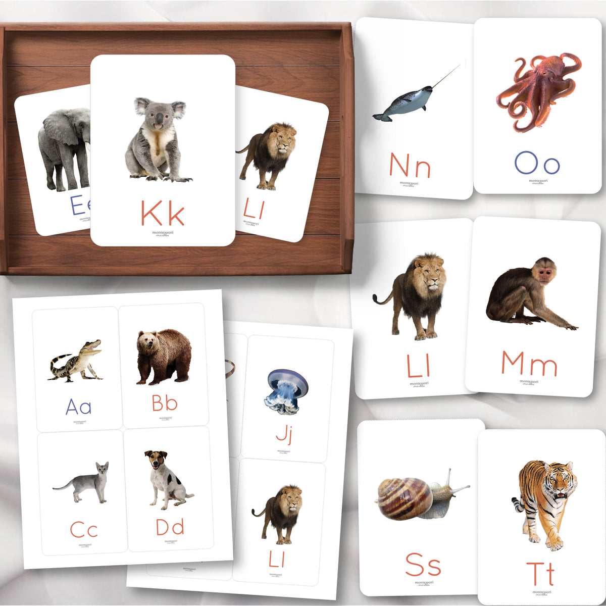 Beginning Sounds Flash Cards – Montessori Marbles