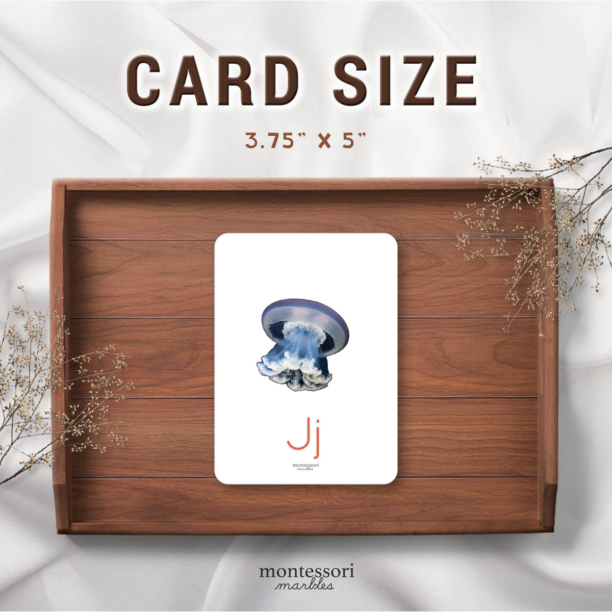 Beginning Sounds Flash Cards – Montessori Marbles