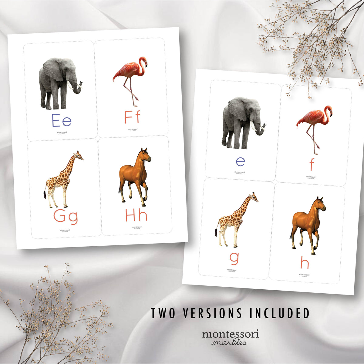 Beginning Sounds Flash Cards – Montessori Marbles