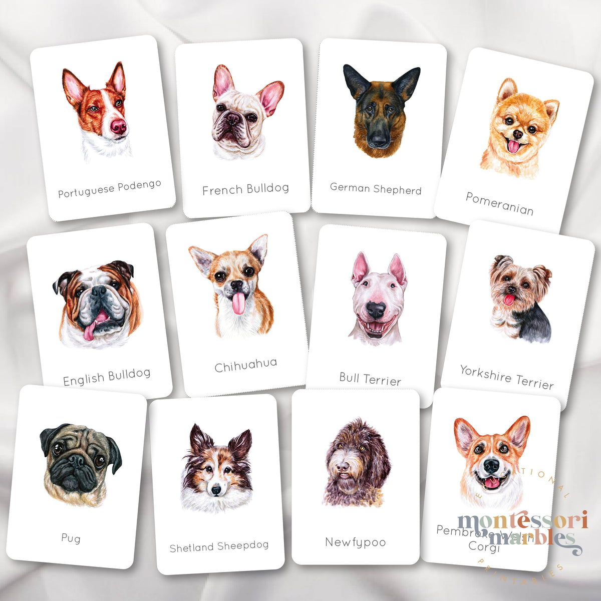 Dogs Flash Cards – Montessori Marbles
