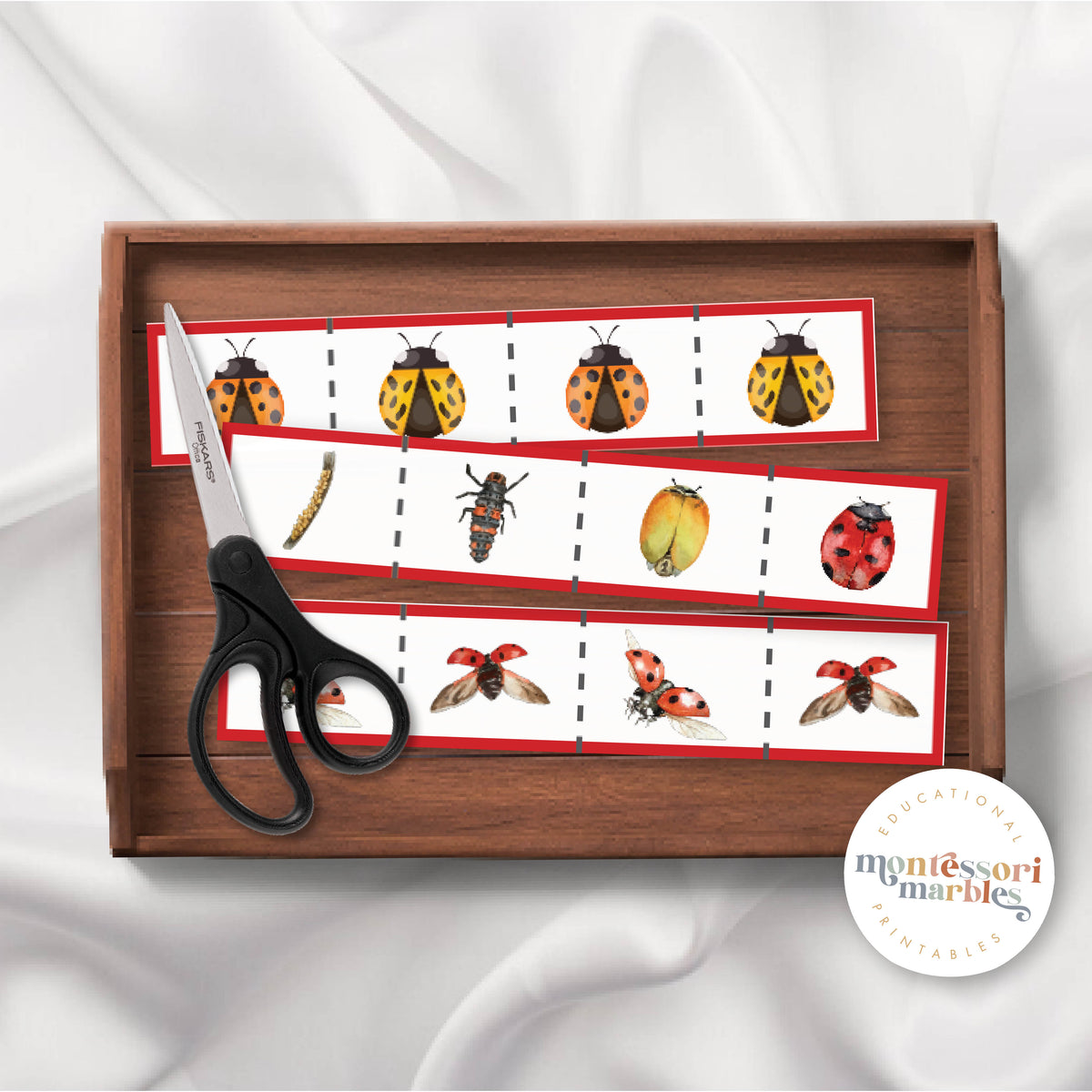 Lady Bugs Cutting Strips | Montessori Inspired Fine Motor Skills ...
