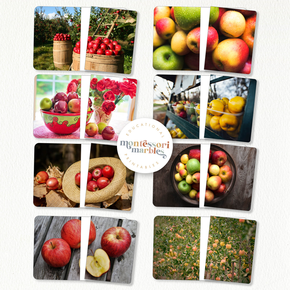 Apples Activity Bundle | Montessori Printable Learning Resources ...