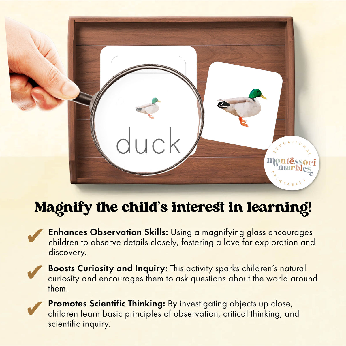 Farm Animals Magni-Match – Montessori Marbles