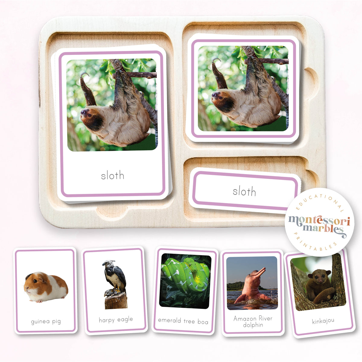 Animals of South America Nomenclature Cards | Montessori Printables ...
