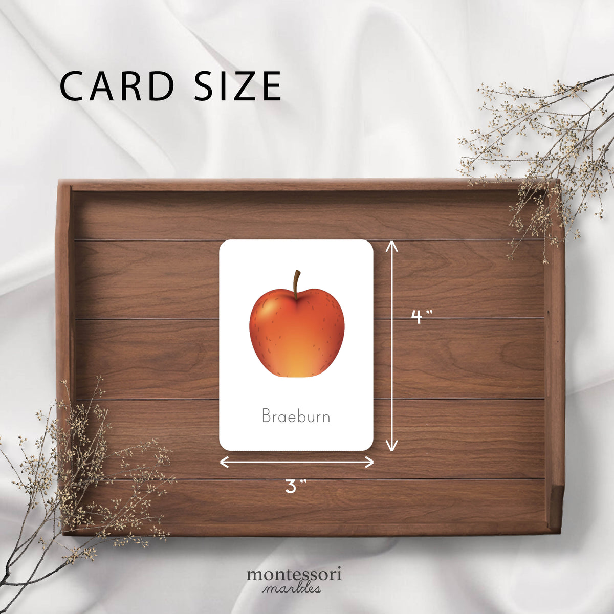 Apples Flash Cards | Montessori Inspired Printable Resources ...