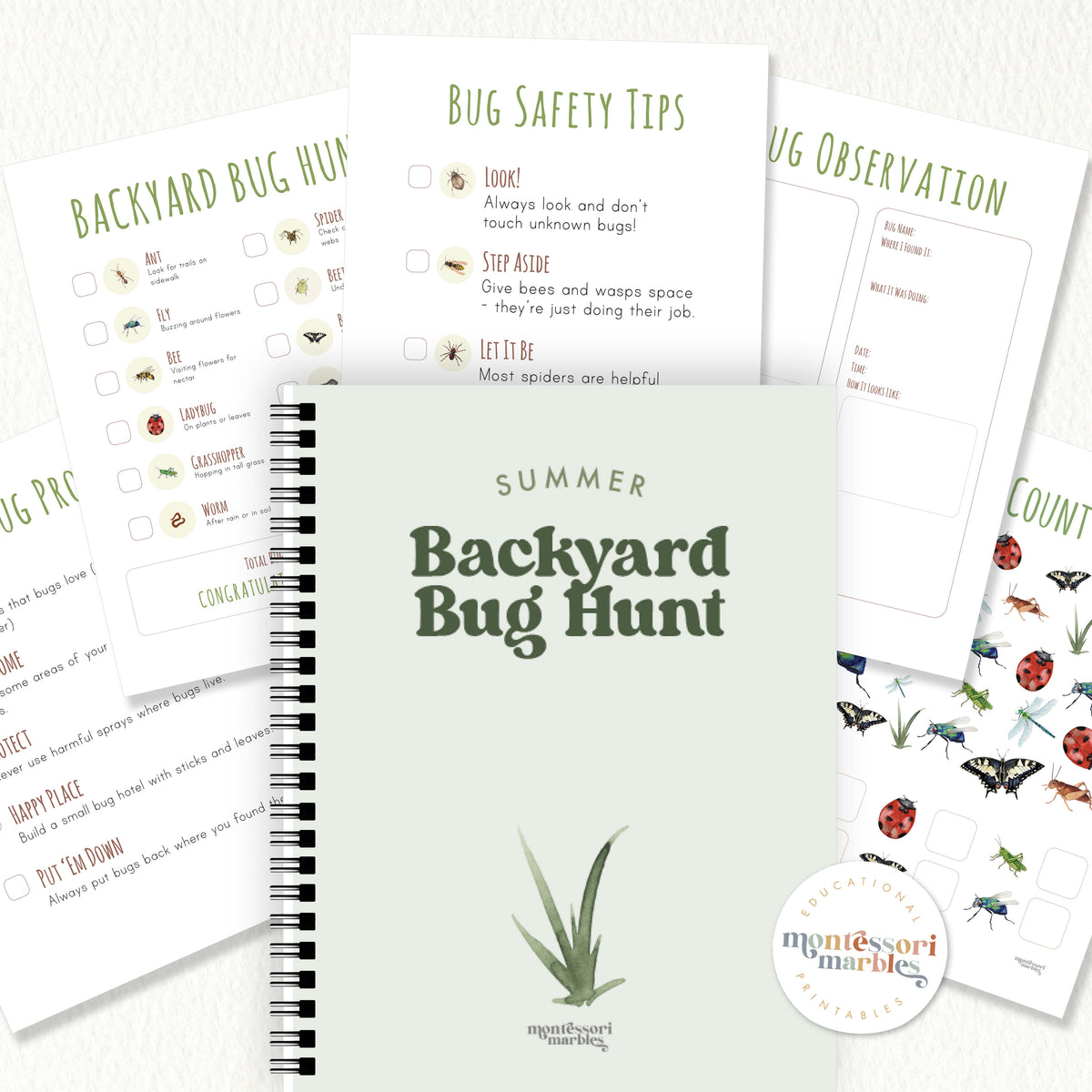 Summer Backyard Bug Hunt – Montessori Marbles