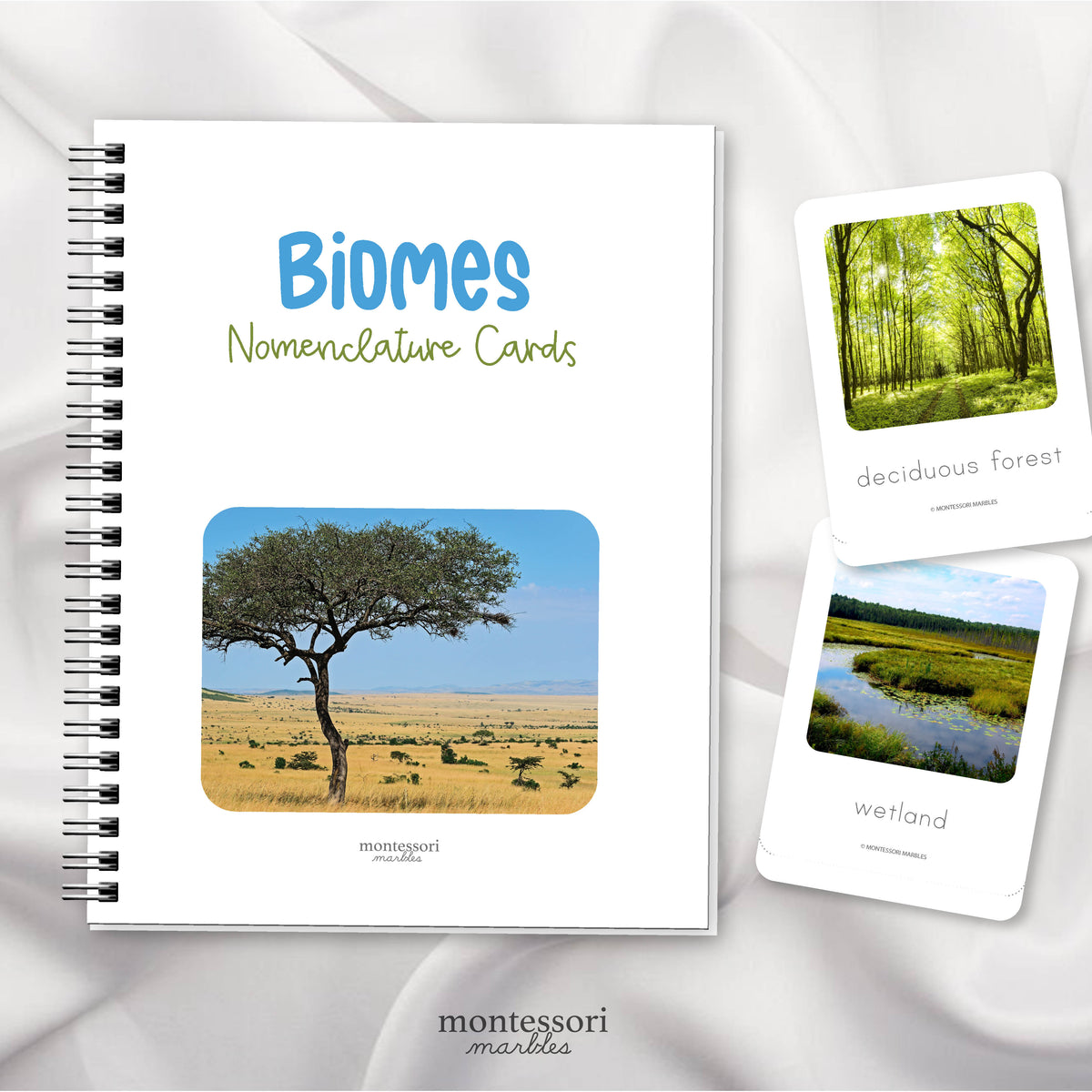 Biomes Nomenclature Cards – Montessori Marbles