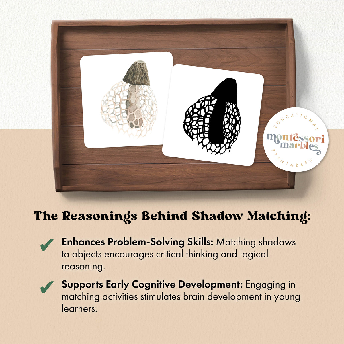 Mushrooms & Fungi Shadow Matching – Montessori Marbles