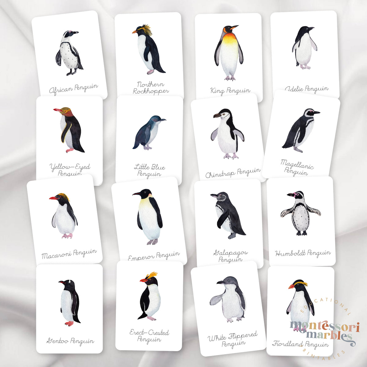 Polar Animals Mini Bundle | Montessori Inspired Printable Resources ...