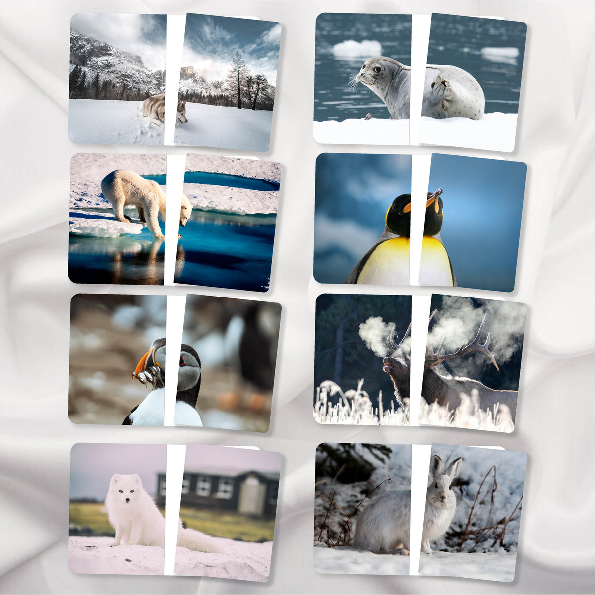 Polar Animals Bundle – Montessori Marbles
