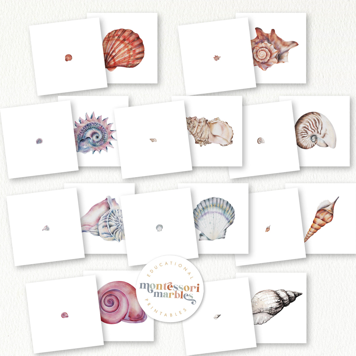 Seashells Mini Bundle | Montessori Inspired Printable Worksheet ...