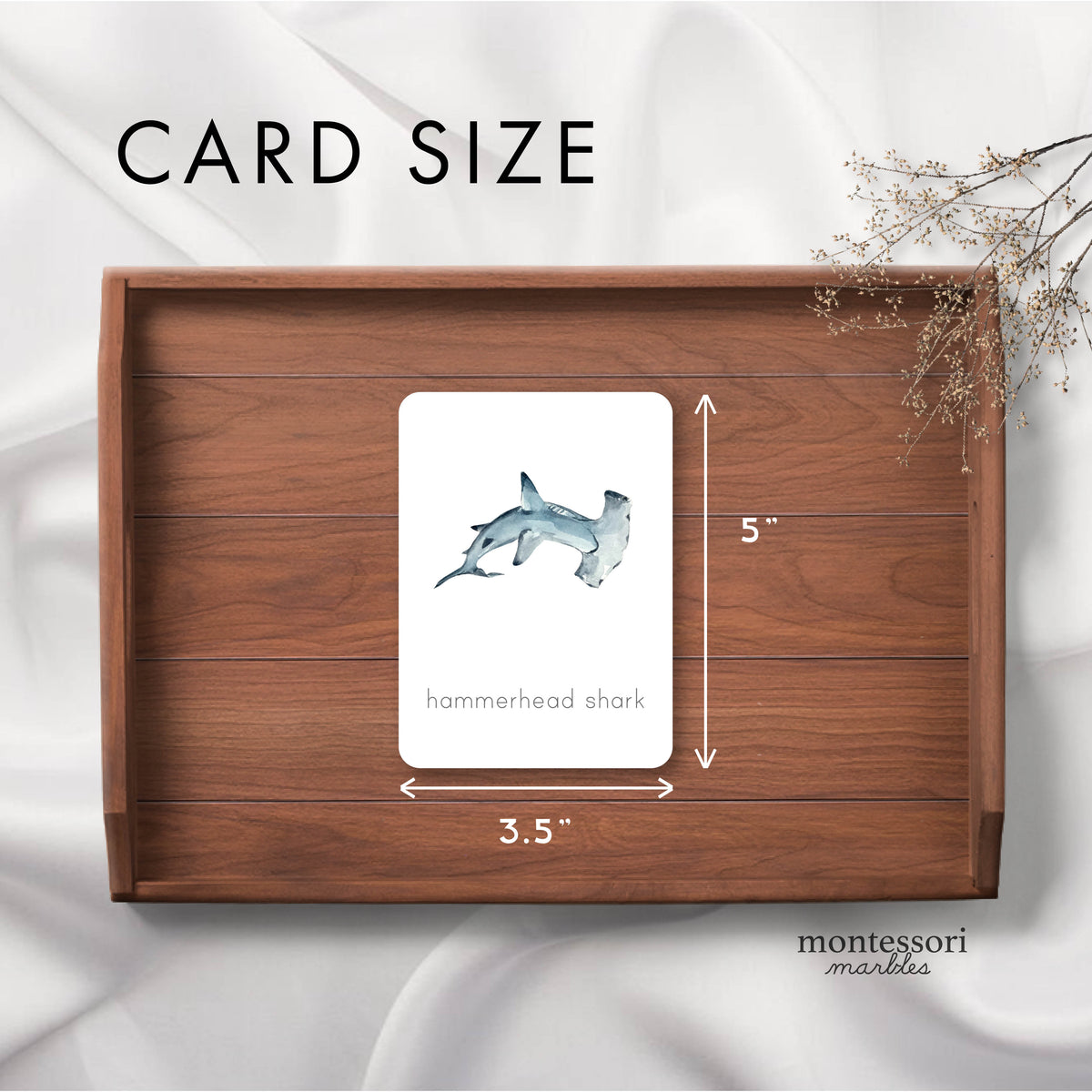 Sharks Nomenclature Cards | Montessori Printable Flash Cards ...