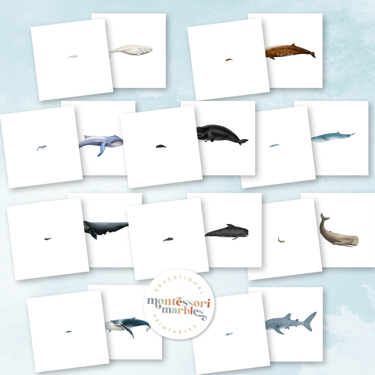 Whales Magni-Match | Montessori Inspired Activity – Montessori Marbles