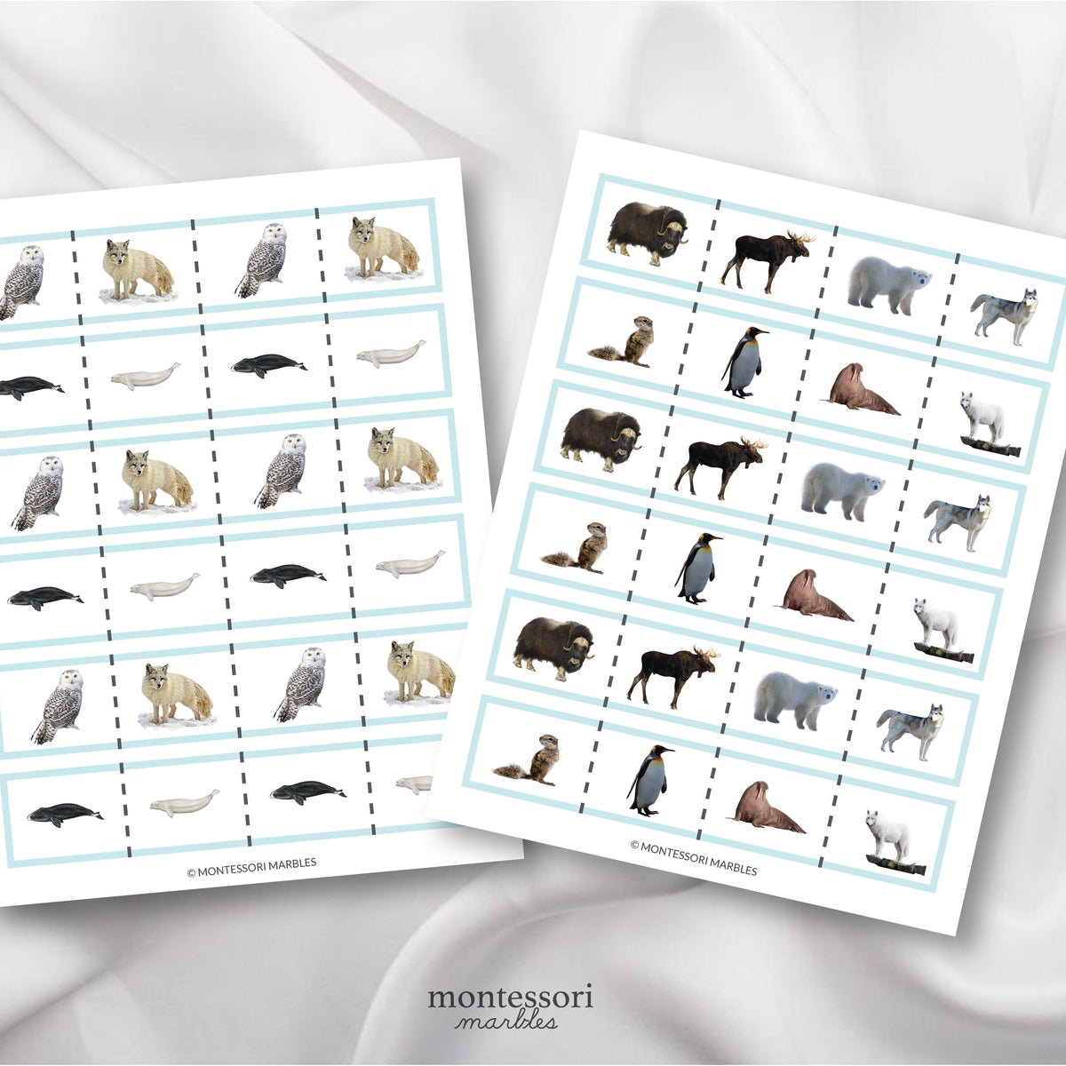 Polar Animals Cutting Strips | Montessori Printable Resources ...