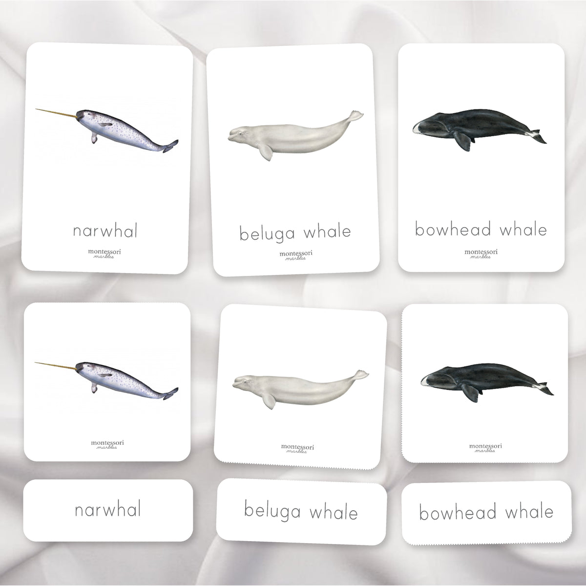 Polar Animals Nomenclature Cards | Montessori Inspired Printables ...