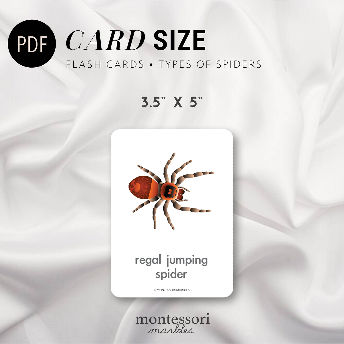 Spider Flash Cards – Montessori Marbles