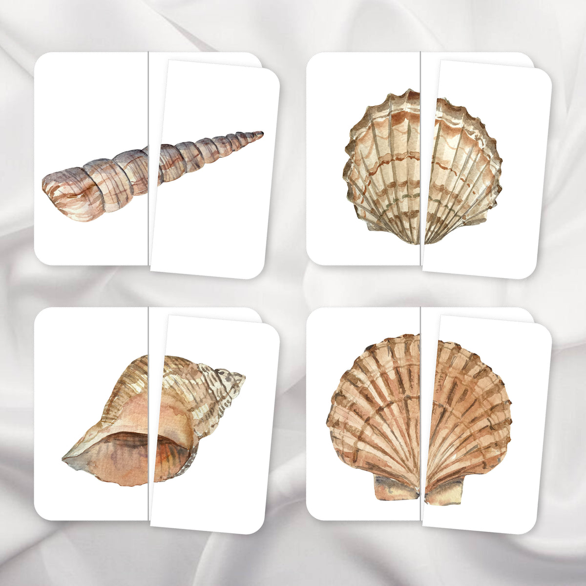 Seashells Symmetry Puzzles | Montessori Inspired Printable Resources ...
