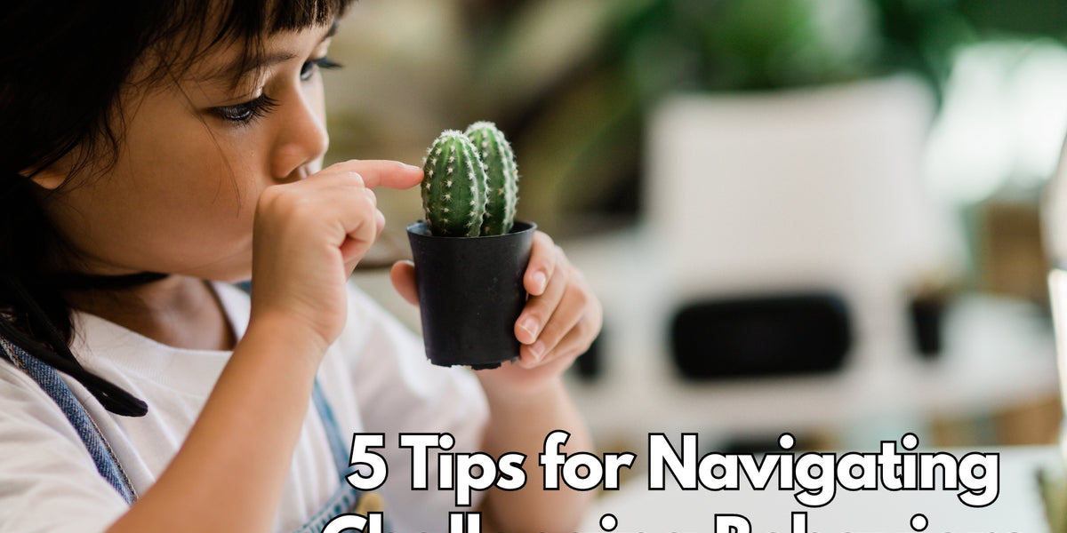 5 Tips for Navigating Challenging Behaviors in Montessori Kids ...