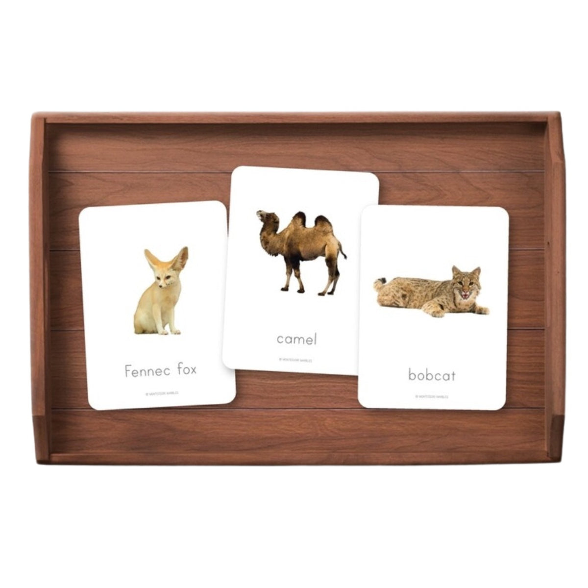 Flash Cards — Montessori Marbles