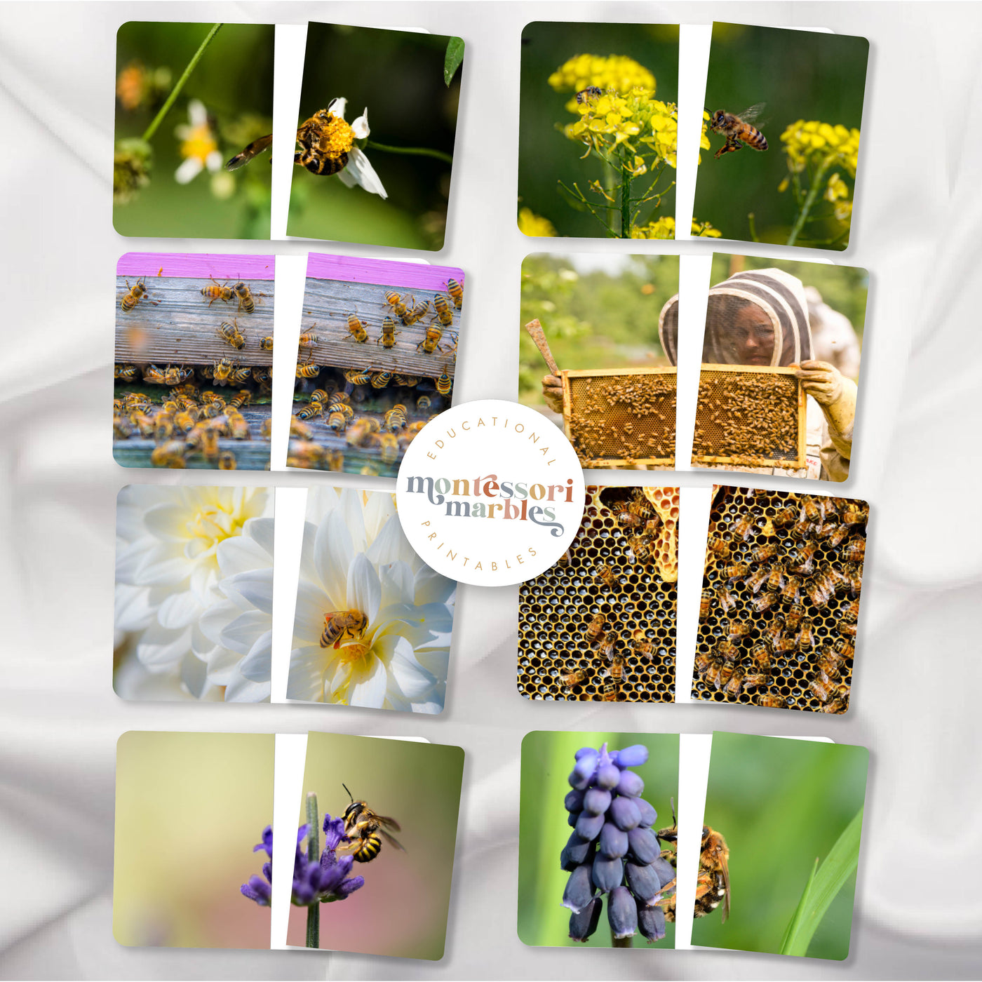 Bee Honey Activity Bundle | 10 Printables Insect Study Ages 3-6 PDF ...