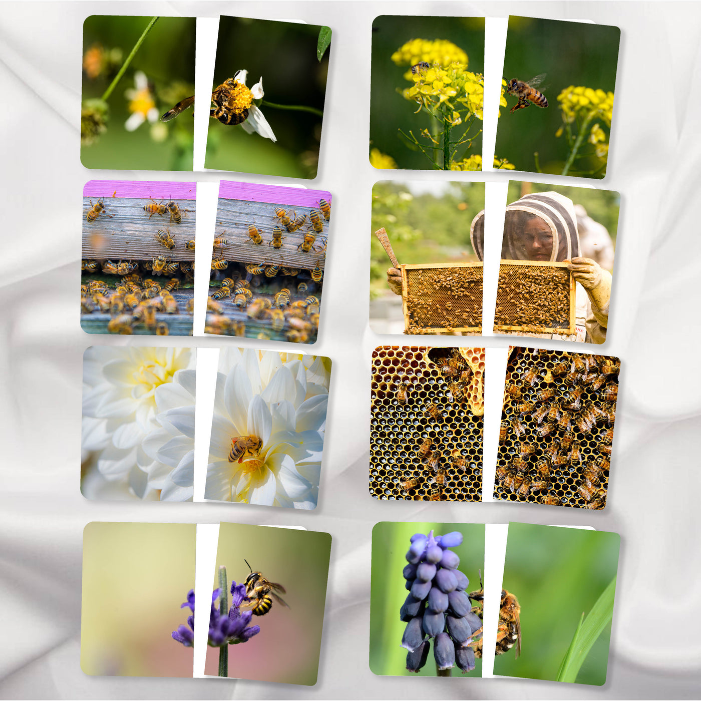 Bee Honey Mini Bundle | 4 Printables Spring Science Ages 2-6 Insects ...