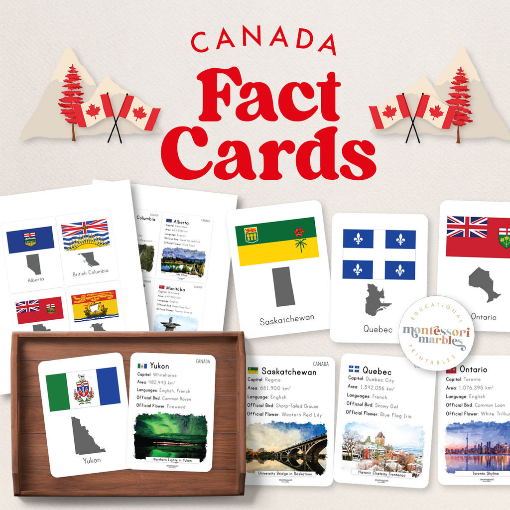 Fact Cards — Montessori Marbles