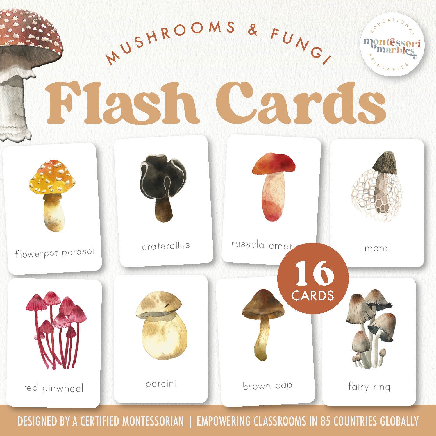 Mushroom Flash Cards | 16 Fungi Types Nature Study Ages 4-8 PDF ...
