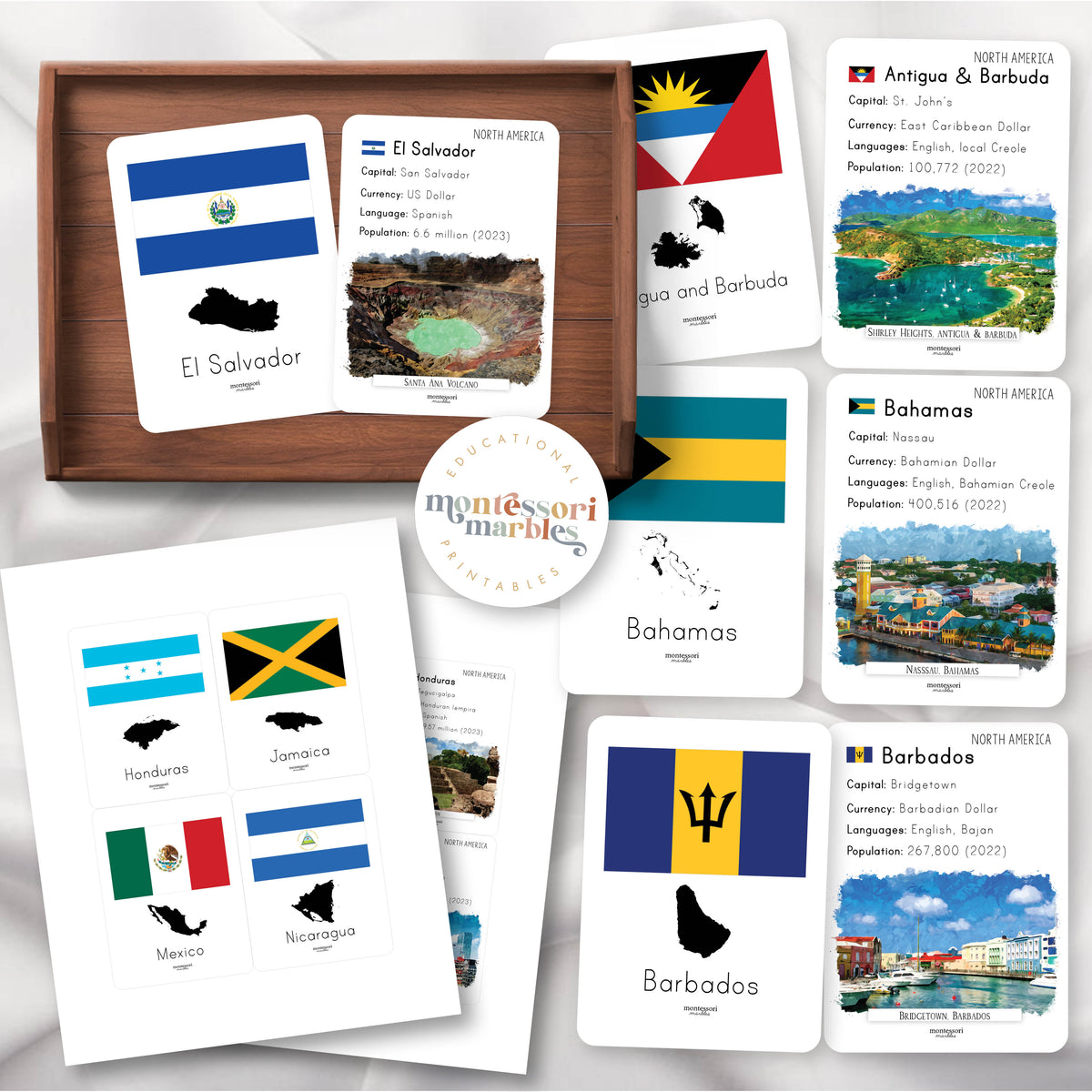 South America Fact Cards | Montessori Inspired Printable for Geography ...