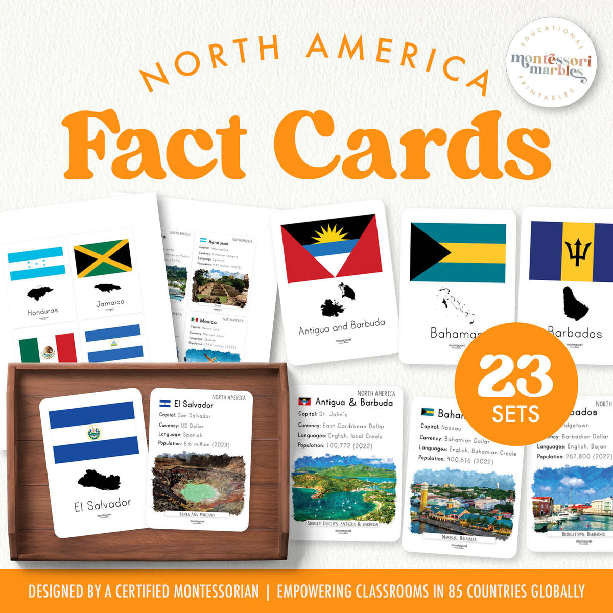 North America Fact Cards | 23 Countries Geography Ages 7-12 PDF ...