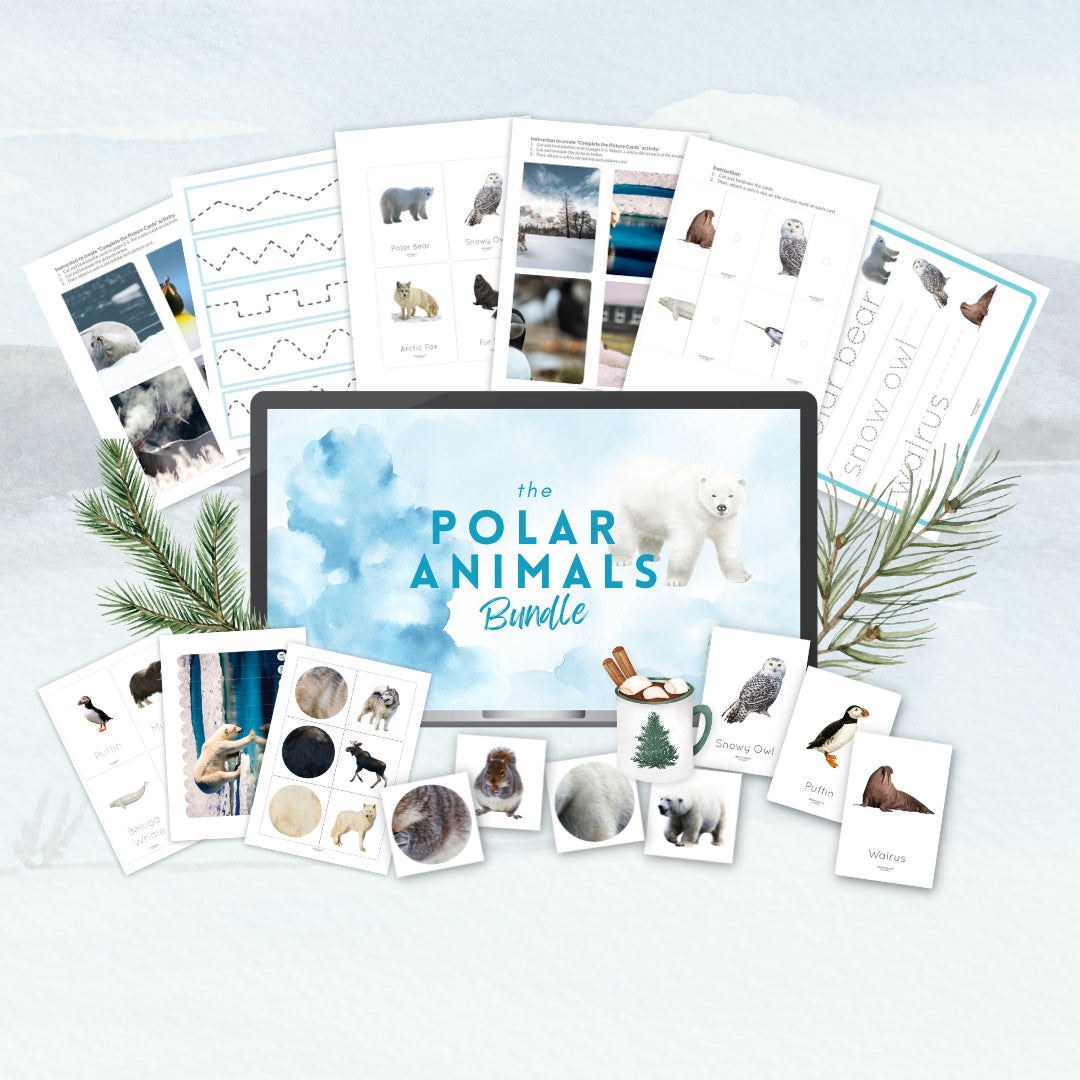 Polar Animals Bundle — Montessori Marbles