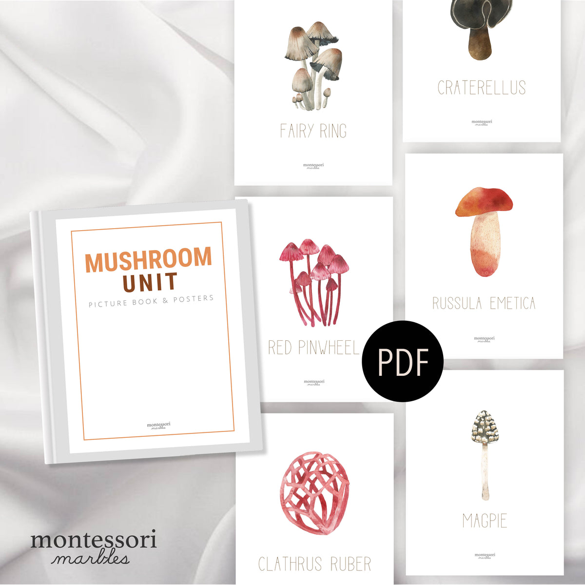 Mushroom Picture Binder | 16 Pages Fungi Nature Study Ages 4-8 PDF ...