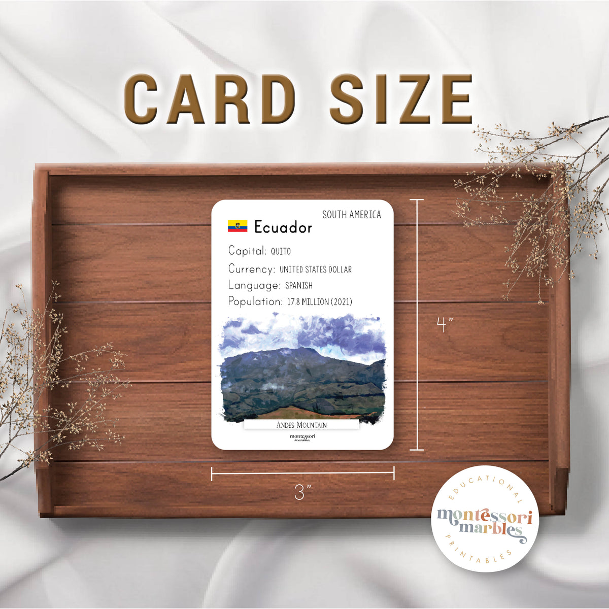 South America Fact Cards | Montessori Inspired Printable for Geography ...