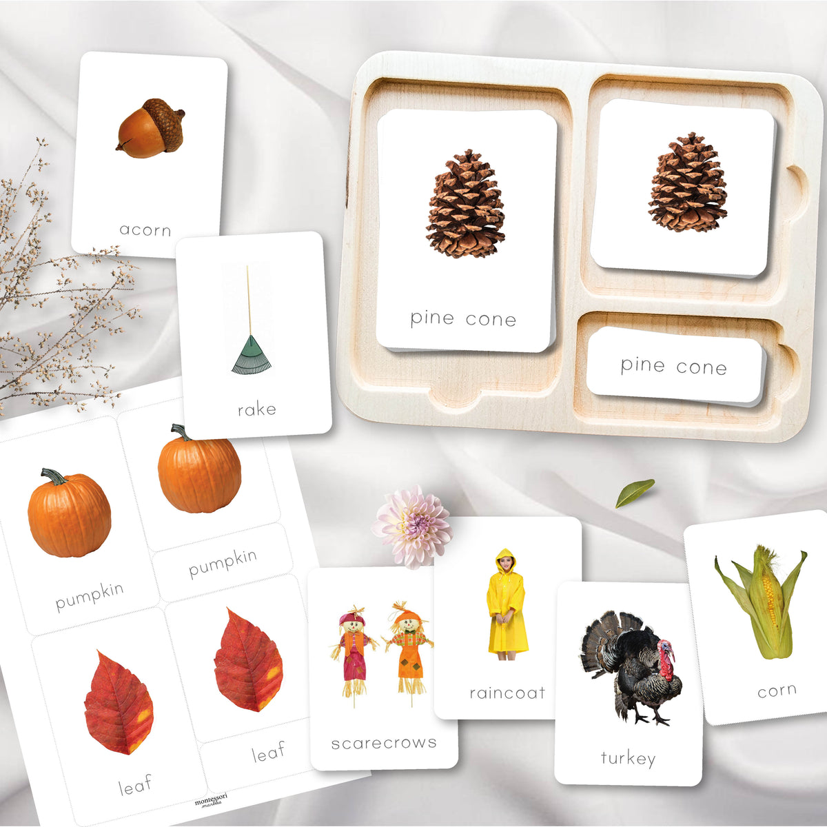Fall Montessori Nomenclature Cards – Montessori Marbles