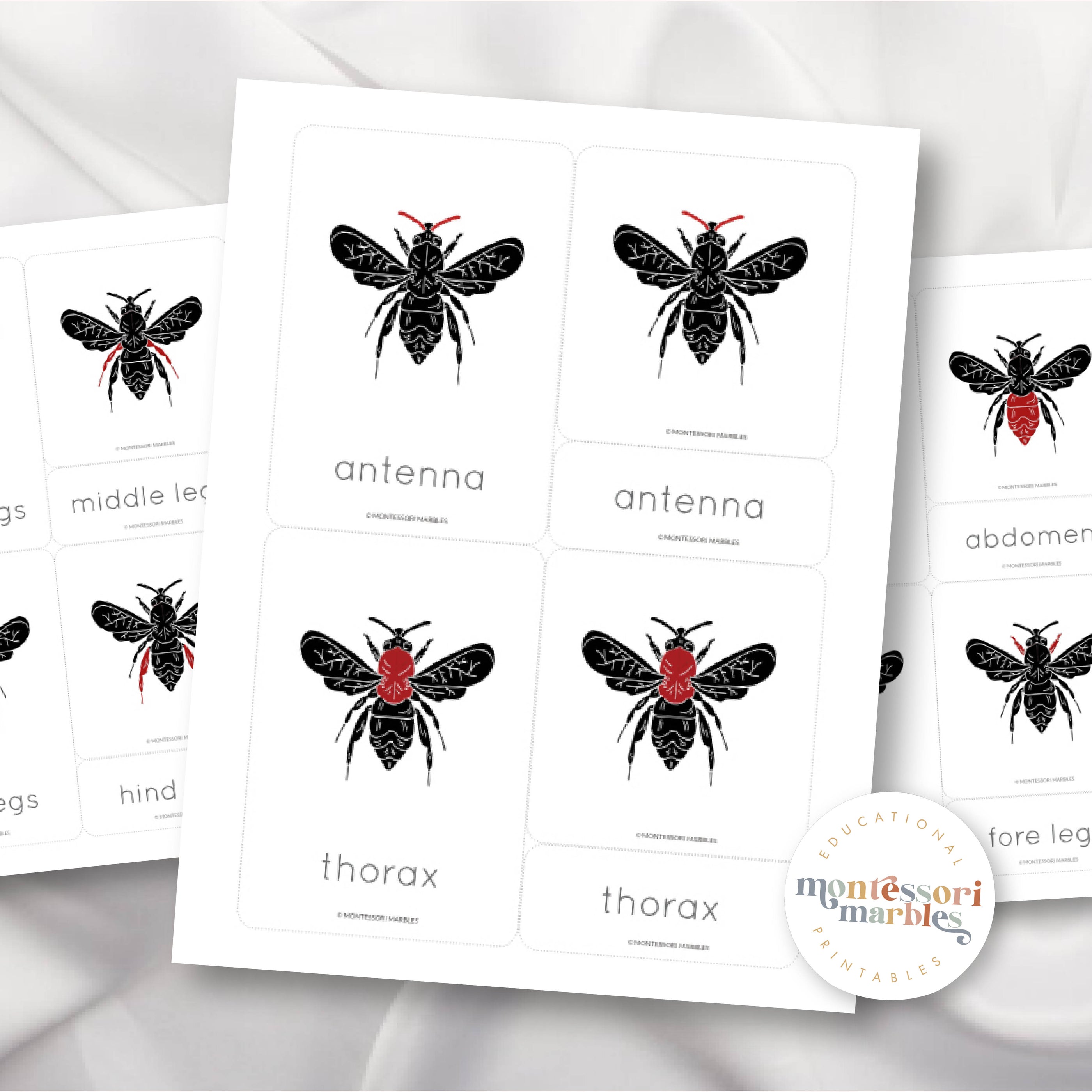 Bee Honey Activity Bundle | 10 Printables Insect Study Ages 3-6 PDF ...