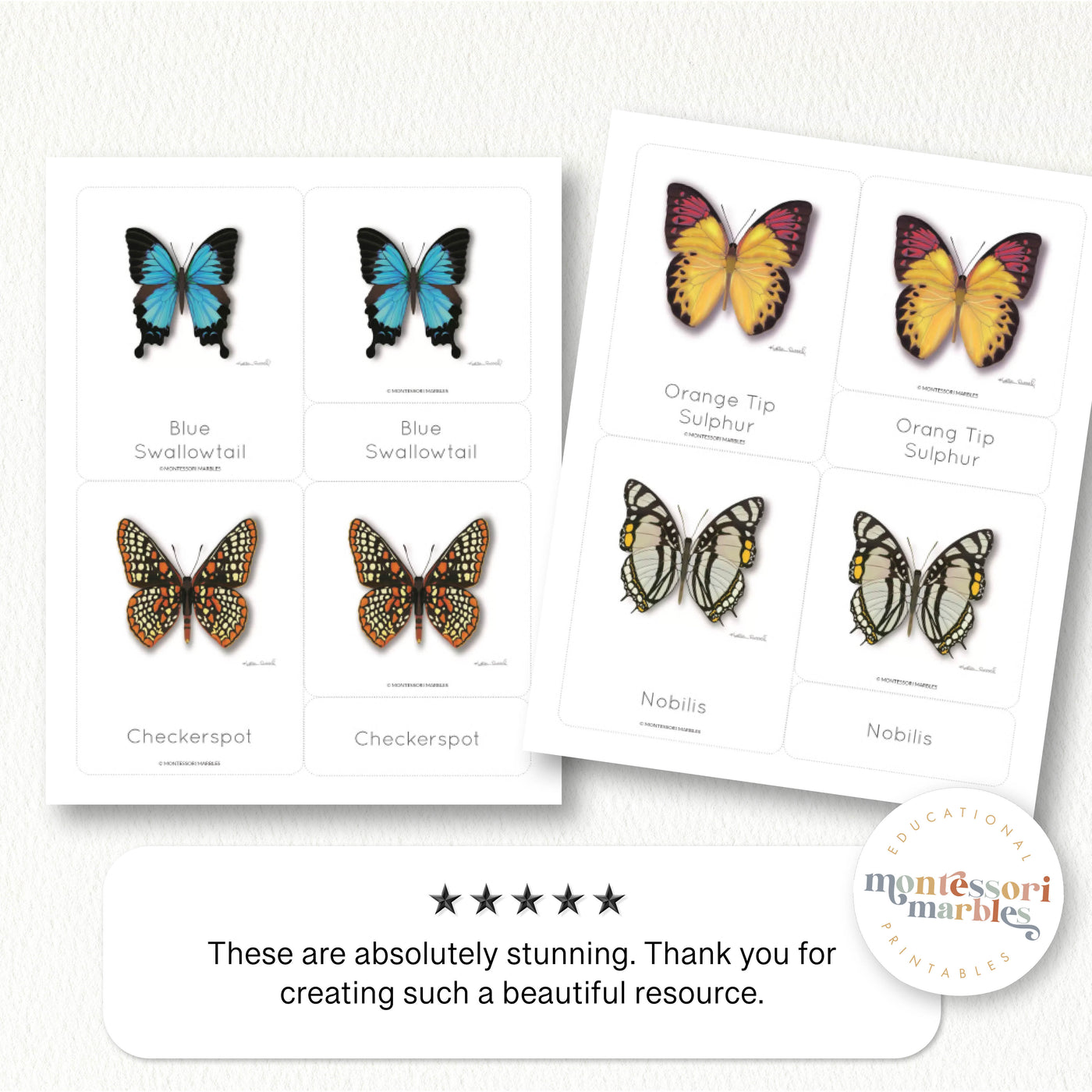Butterfly Nomenclature Cards | 20 Sets 3-Part Insects Ages 4-8 Spring ...