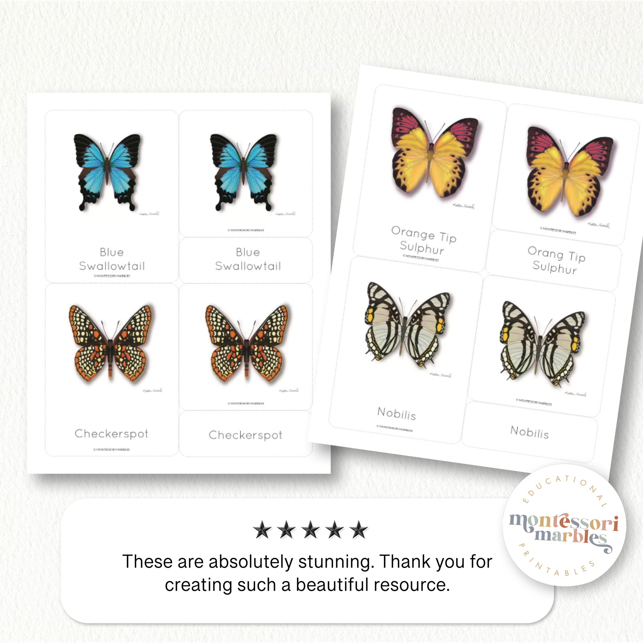 Butterfly Nomenclature Cards | 20 Sets 3-Part Insects Ages 4-8 Spring ...