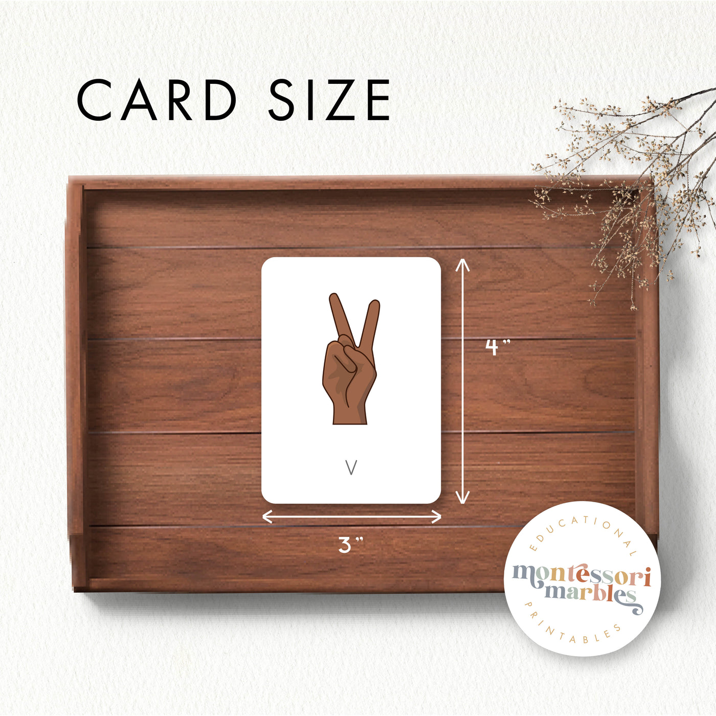 ASL Nomenclature Cards Brown | Sign Language Alphabet Ages 4-8 ...