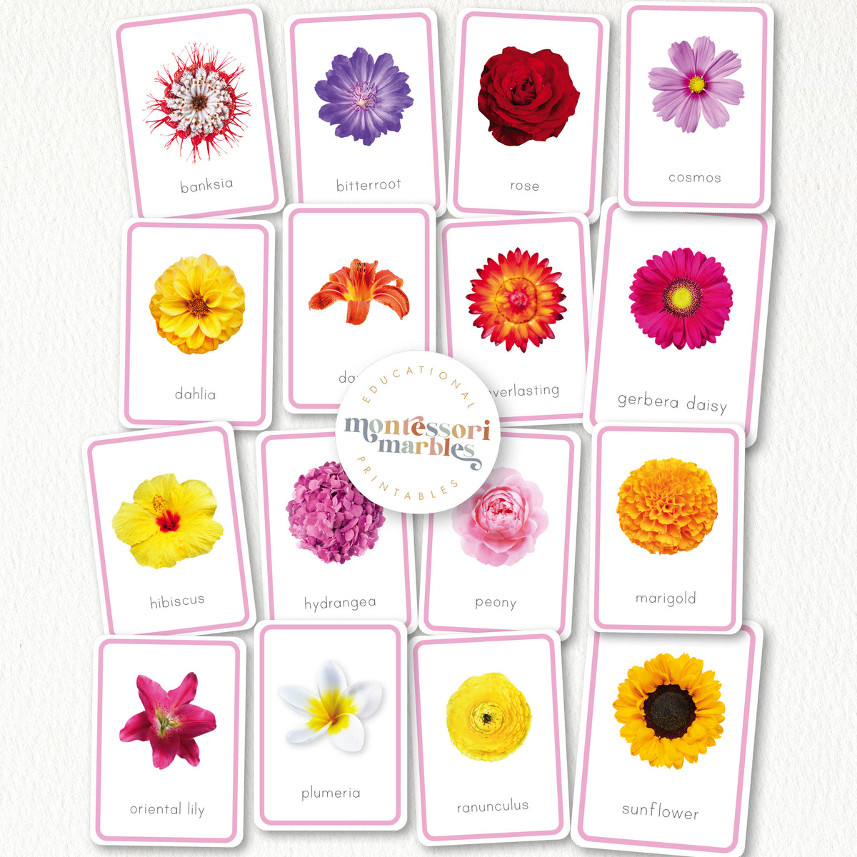 Flowers Flash Cards | Montessori Inspired Printable Materials ...
