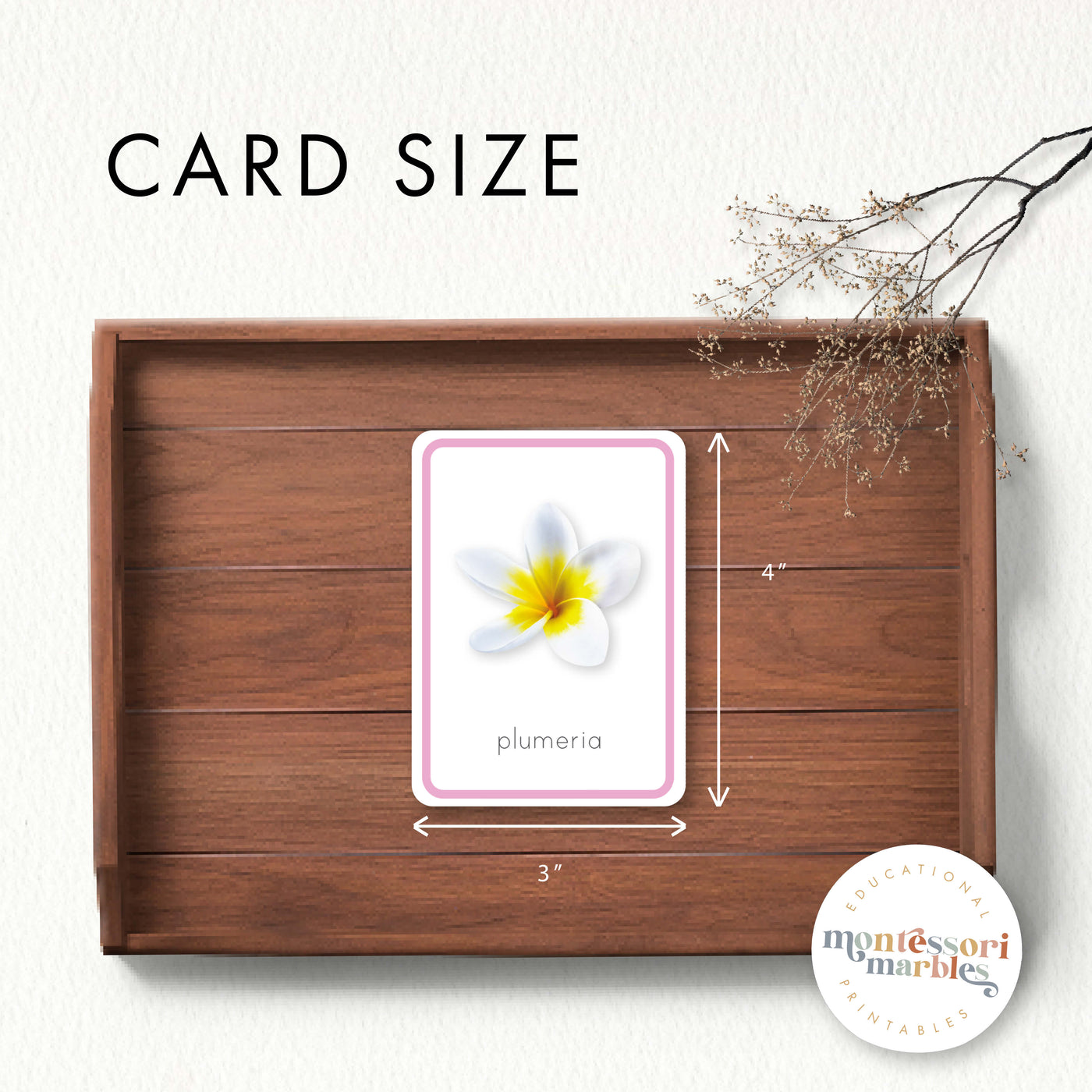 Flowers Flash Cards | 16 Spring Garden Vocabulary Cards Ages 2-5 PDF ...