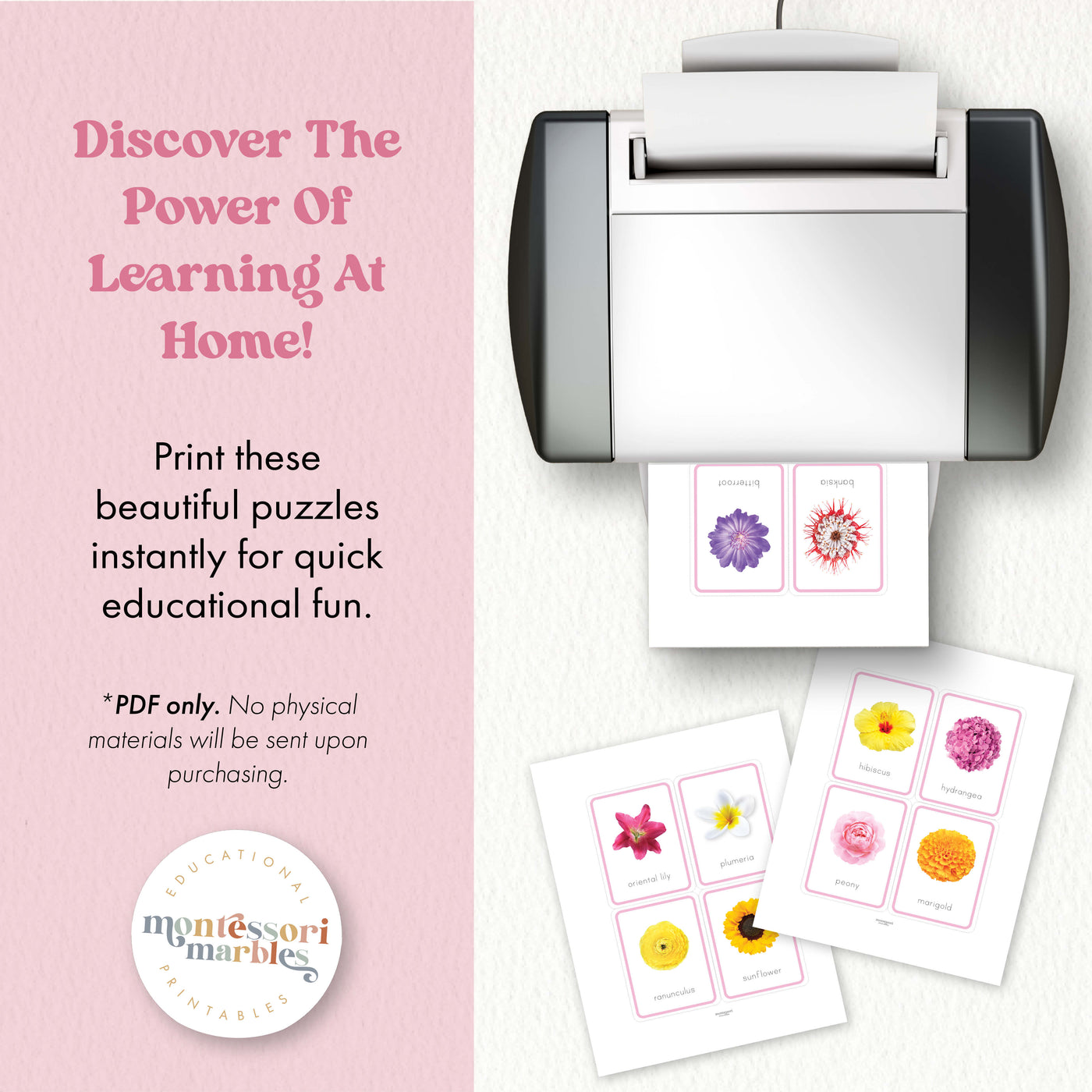 Flowers Flash Cards | 16 Spring Garden Vocabulary Cards Ages 2-5 PDF ...