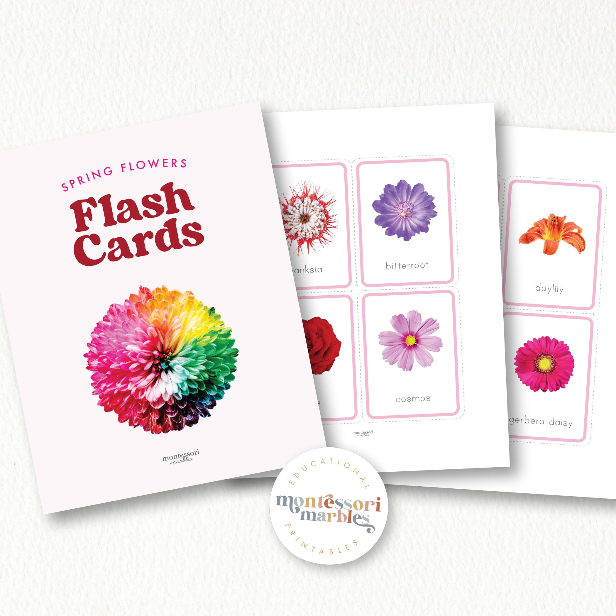 Flowers Flash Cards | 16 Spring Garden Vocabulary Cards Ages 2-5 PDF ...